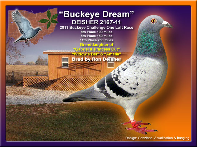 DEISHER'S PDQ RACING LOFT WINNERS 2011