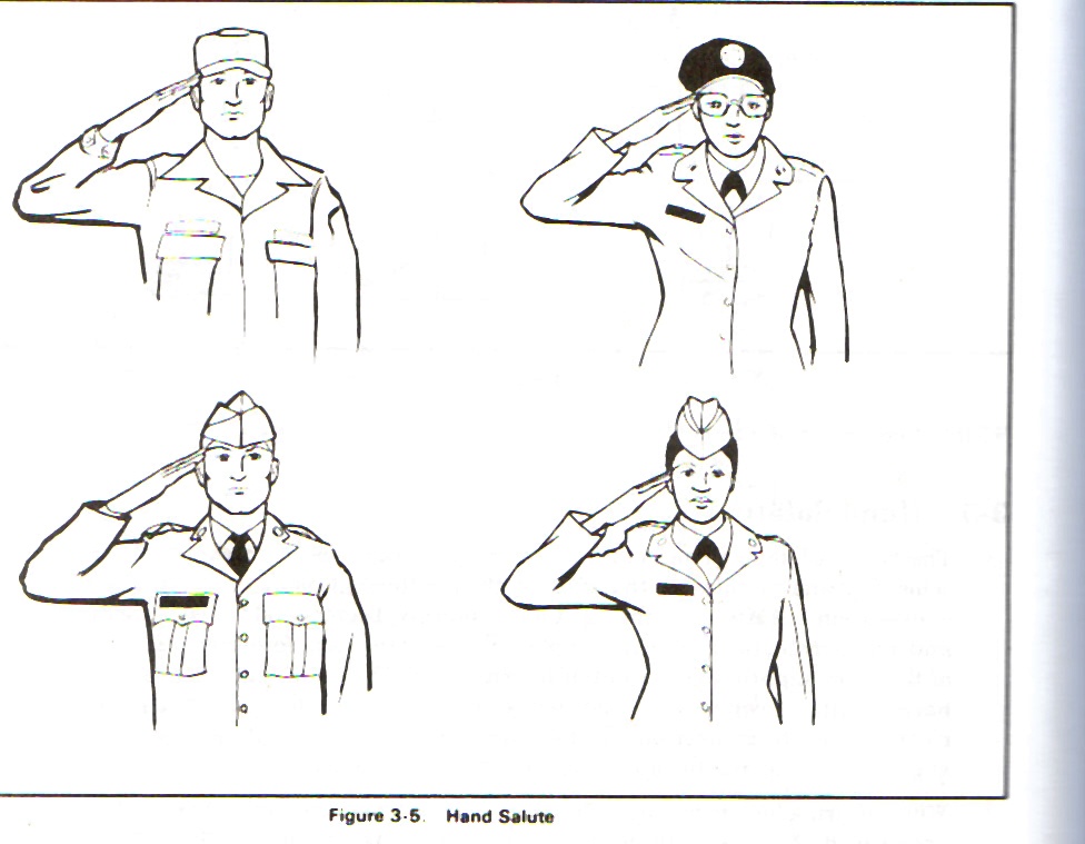 JROTC, what it really is. Diagrams Page