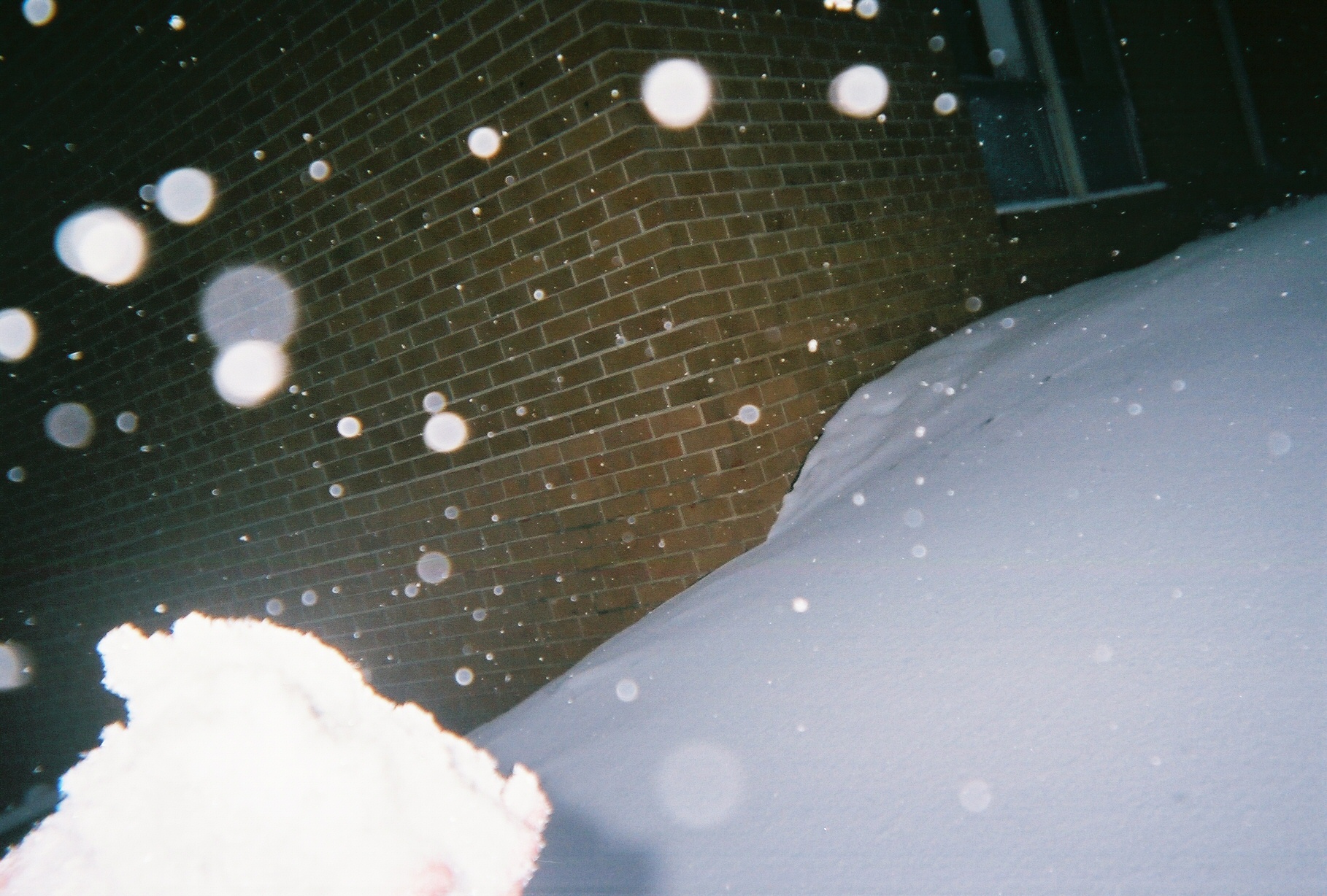 Print Photos | View Full-Size Image