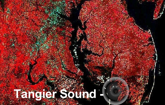 Index [www.angelfire.com]