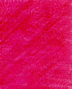 (click on thumbnails to see larger pictures)