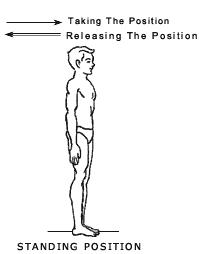 Yoga Point - Yoga Positions, Postures, Asanas, Yogasana