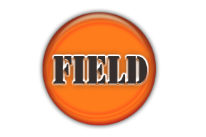 Field