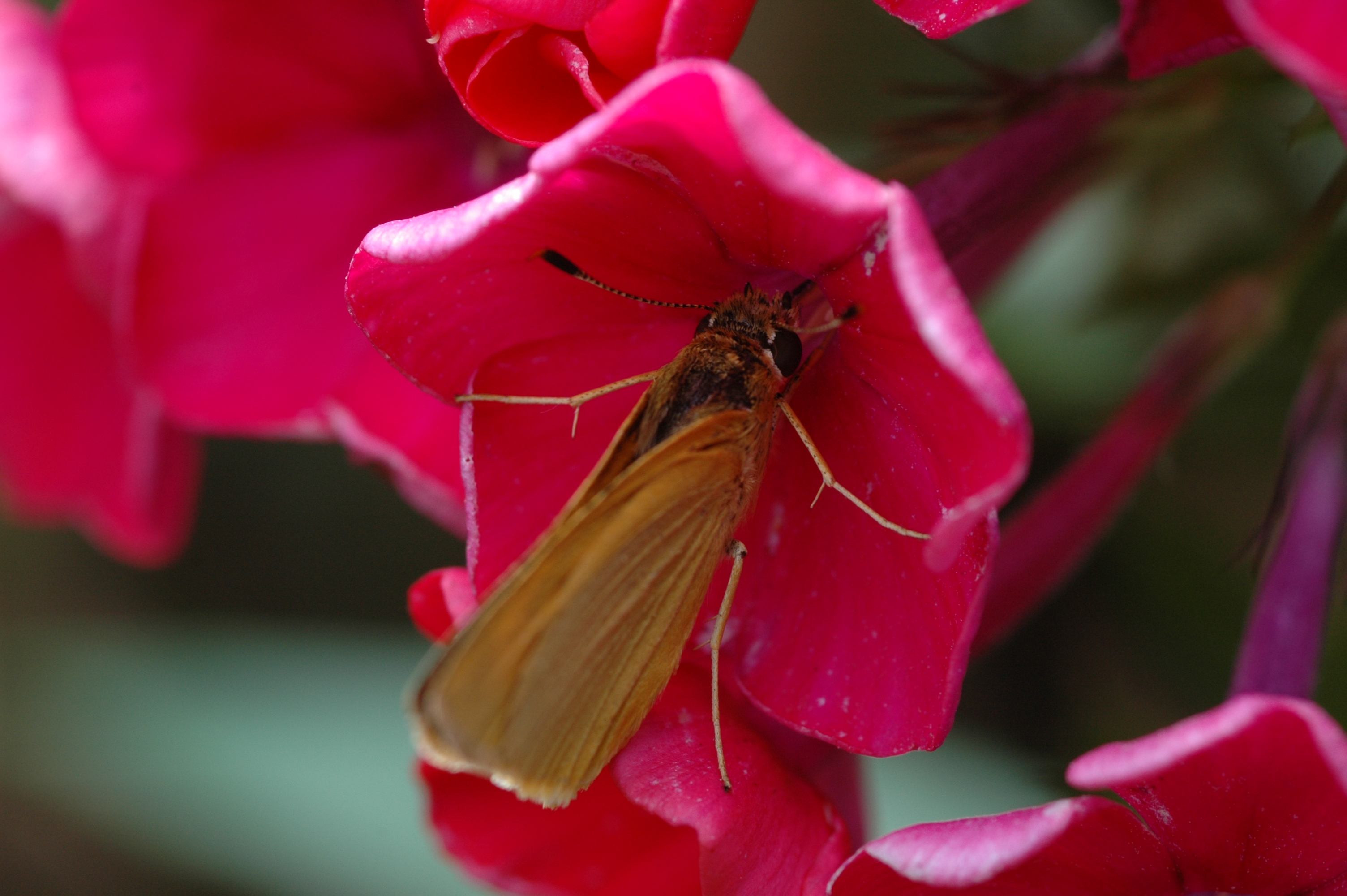 View Full-Size Image