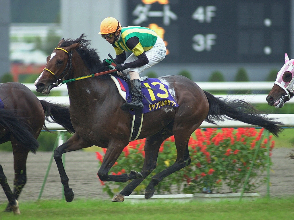 Gorgeous Kay racing, lovely dark colour, really straining in the last ...