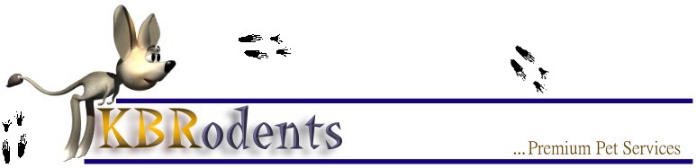 Untitled Document [www.angelfire.com]