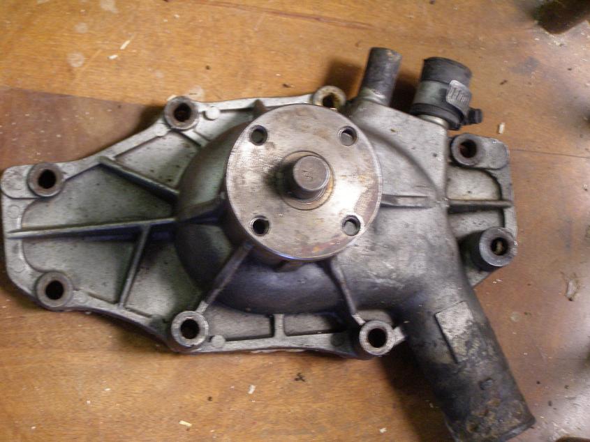 Print Photos | View Full-Size Image