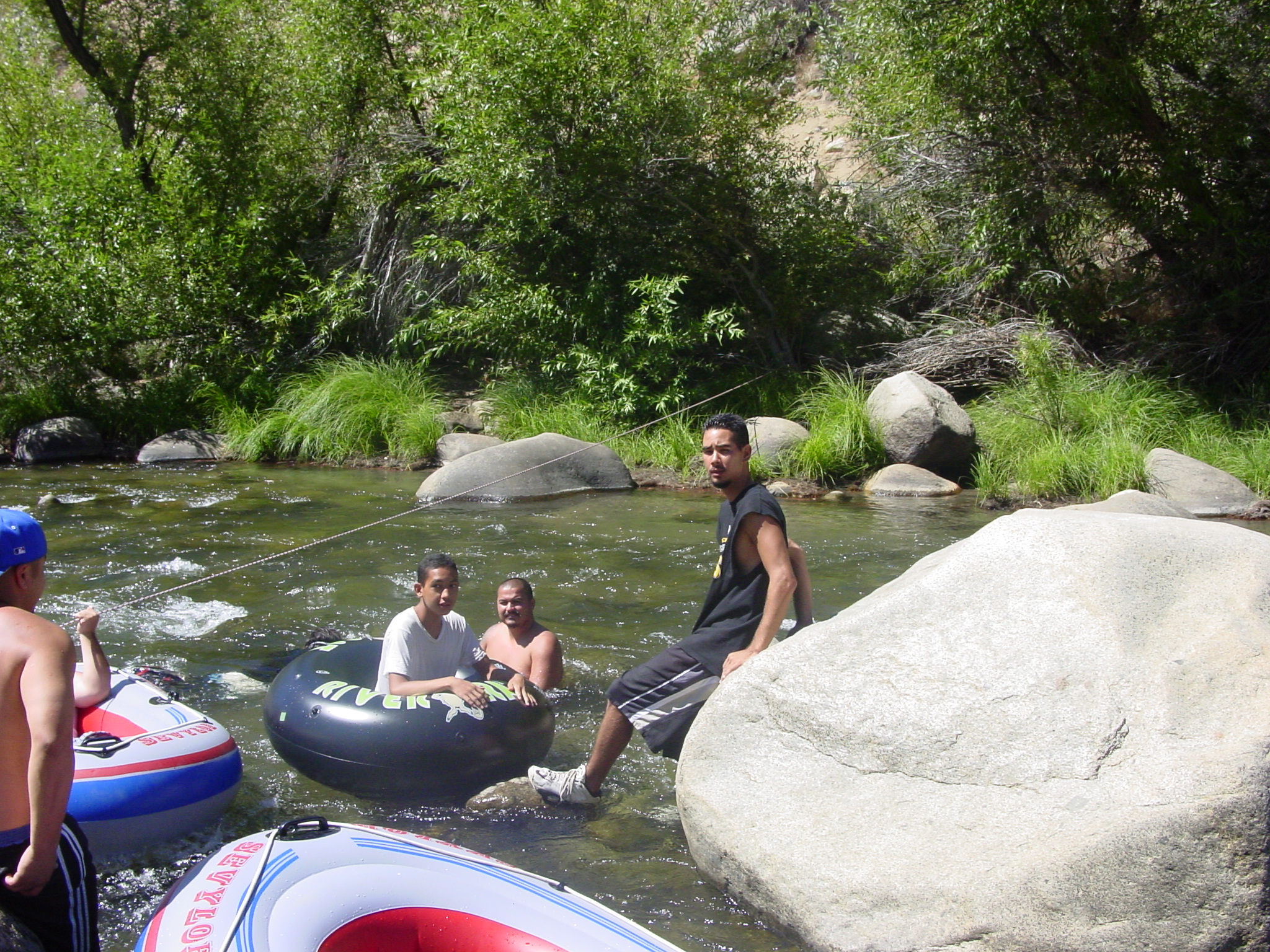 View Full-Size Image