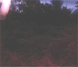 Paranormal Photography