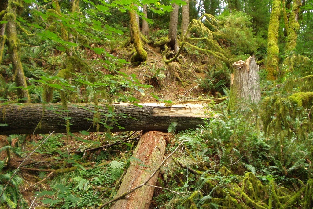 Print Photos | View Full-Size Image