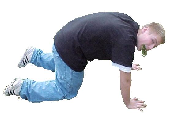 Bios of the Band Members