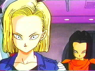Android 18 and family