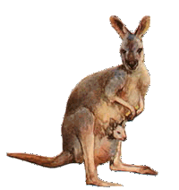 Animal PSP Tubes by Crystal Dawn