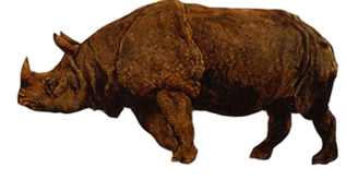 Animal PSP Tubes by Crystal Dawn