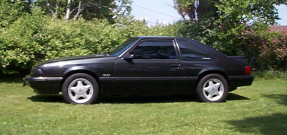 XXcelerate's New Forum