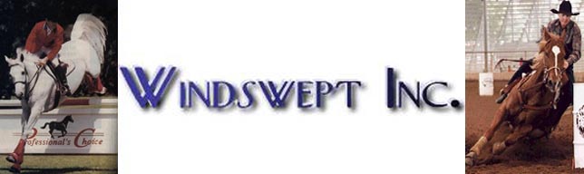 Welcome To Windswept Inc.