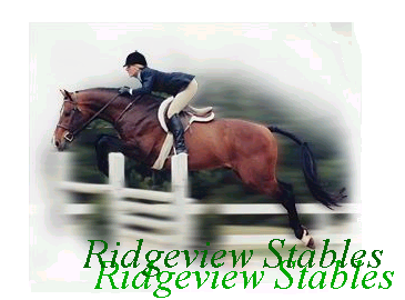 Welcome to Ridgeview Stables, a full service riding and boarding stable ...