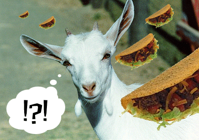 Ha ha! Taco goat breath!