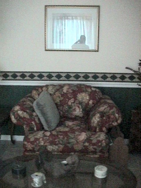 Gallery - kitchen - stuffed chair