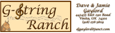 G-String Ranch - Registered Quarterhorses