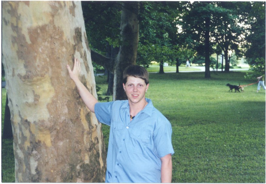 Home [www.angelfire.com]