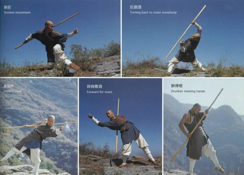 Drunken Style Gallery