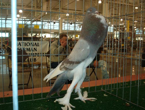 View Full-Size Image