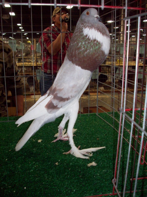 View Full-Size Image