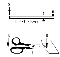 T o use the lever withleast effort,