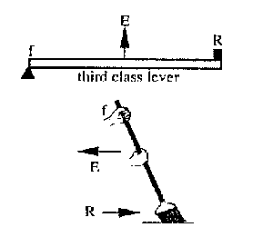 Third class levers help us todo work more quickly by overcoming a ...