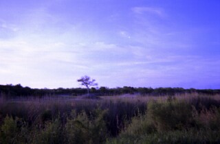 Images that sum up the scenery of deep south TX