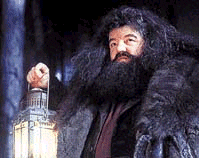 Hagrid.gif