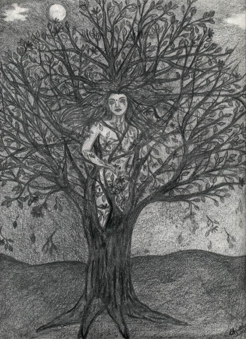 Christine's Drawings