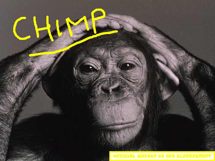 SIGNED PICTURES OF THE BAND