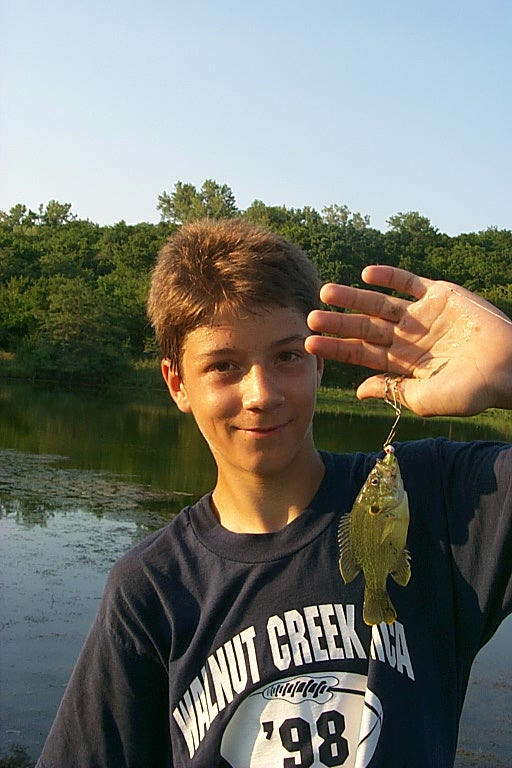Little Sunfish