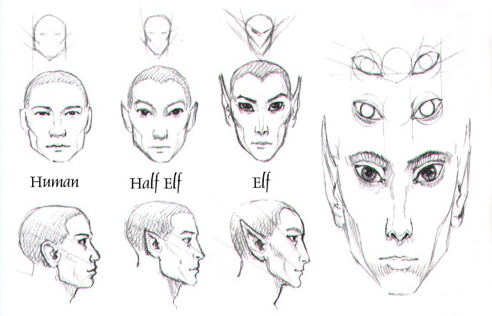 Philosophy of the Elves