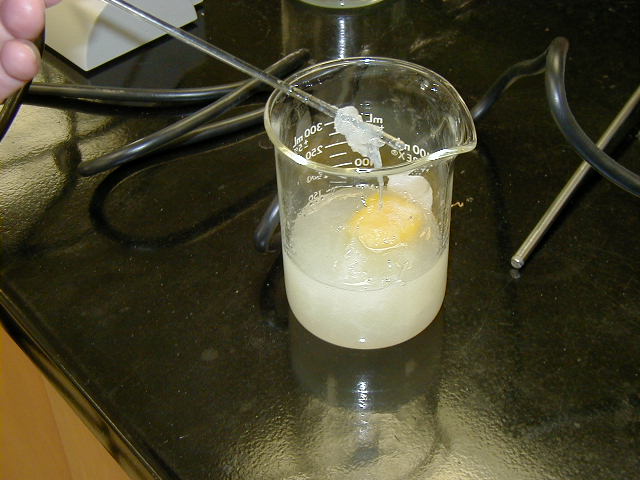 Lye and Egg Demonstration