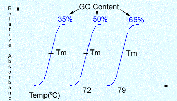 Cellular and Molecular Biology Topics