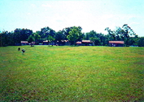 Camp Wiregrass: GALLERY ONE