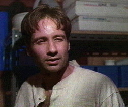 Mulder Pictures