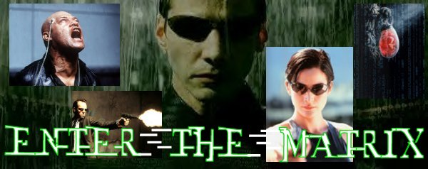 Enter The Matrix
