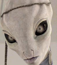 The Star Wars Empire: Characters: Taun We