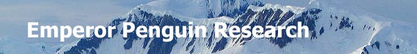 Emperor Penguin Research - Huddling