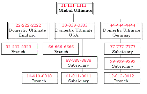 The Dun & Bradstreet D-U-N-S Number