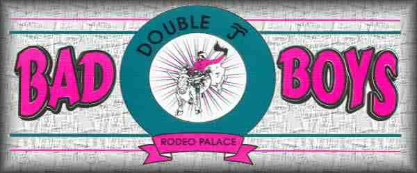 Bad Boys of Double J Rodeo Palace