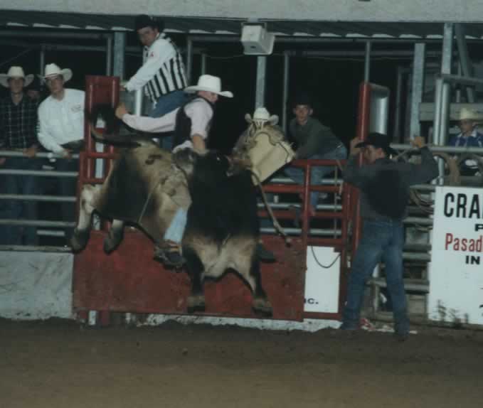 Bad Boys of the Double J Rodeo Palace