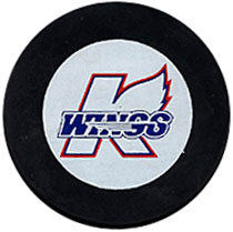 Kalamazoo K-Wings