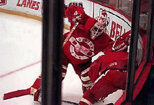 Red Wings Photo - Gallery 2
