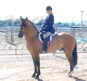 Constellation Kiger Ranch