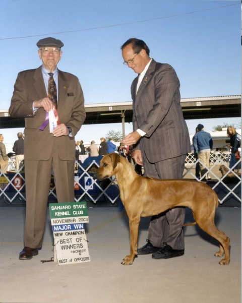 Rhodesian Ridgebacks